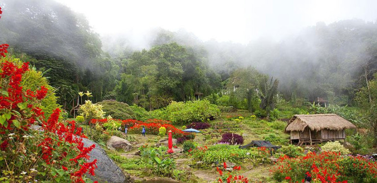 Doi Pui Tribal Village and National Park